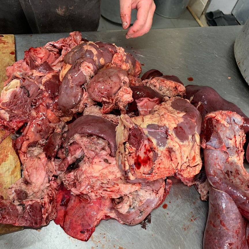 Обрезь для собак после убоя скота