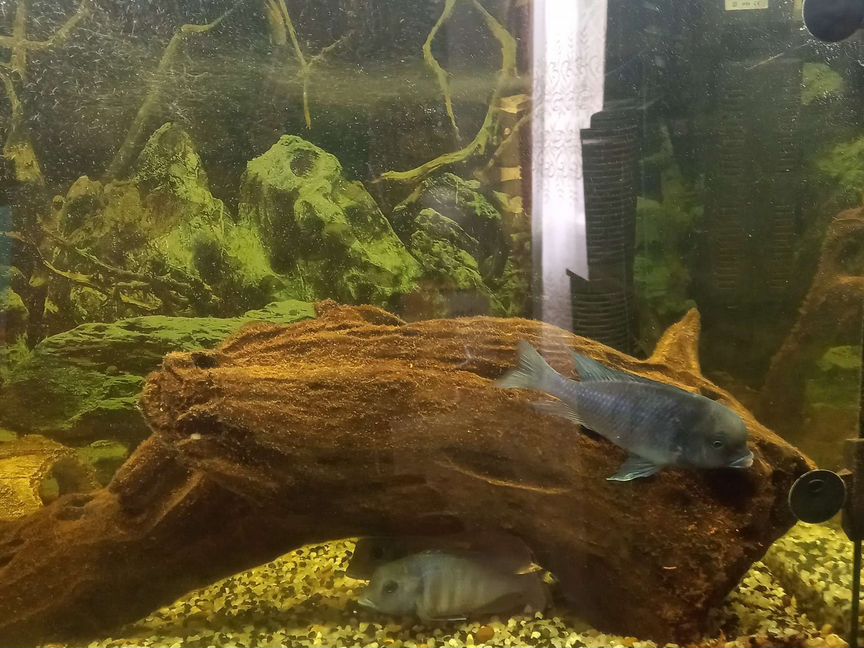 Аквариум 250 литров с тумбой