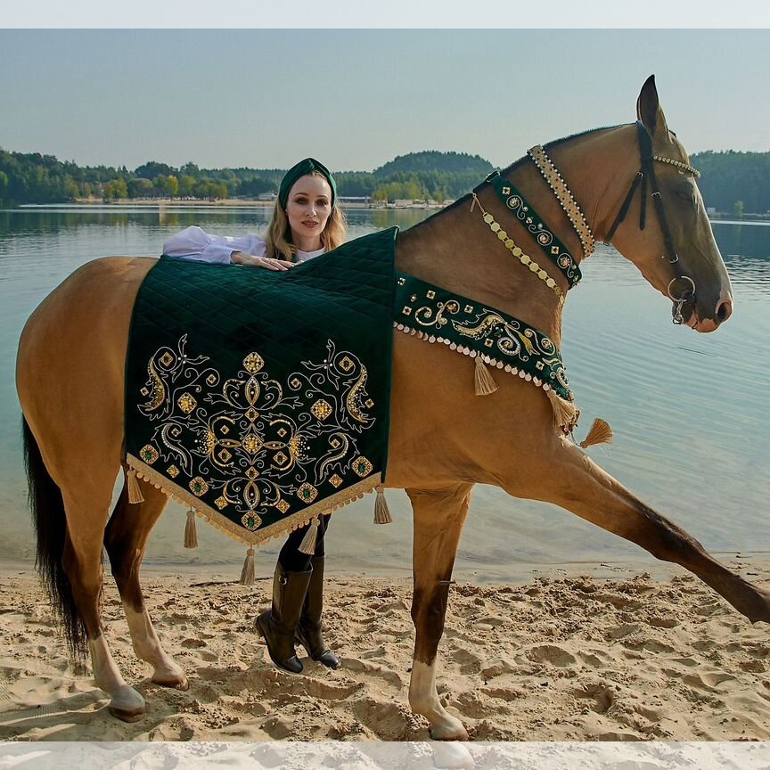 Выводной комплект (вальтрап) для ахалтекинца