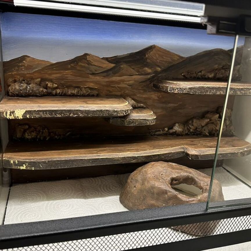 Террариум б/у