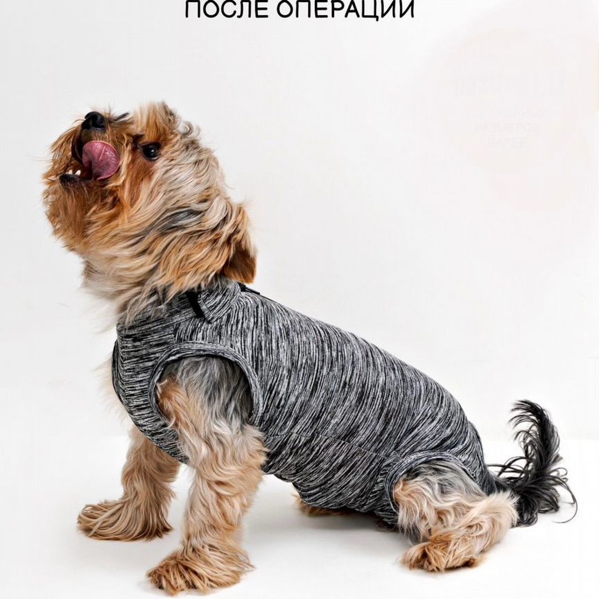 Попона для собак послеоперационная