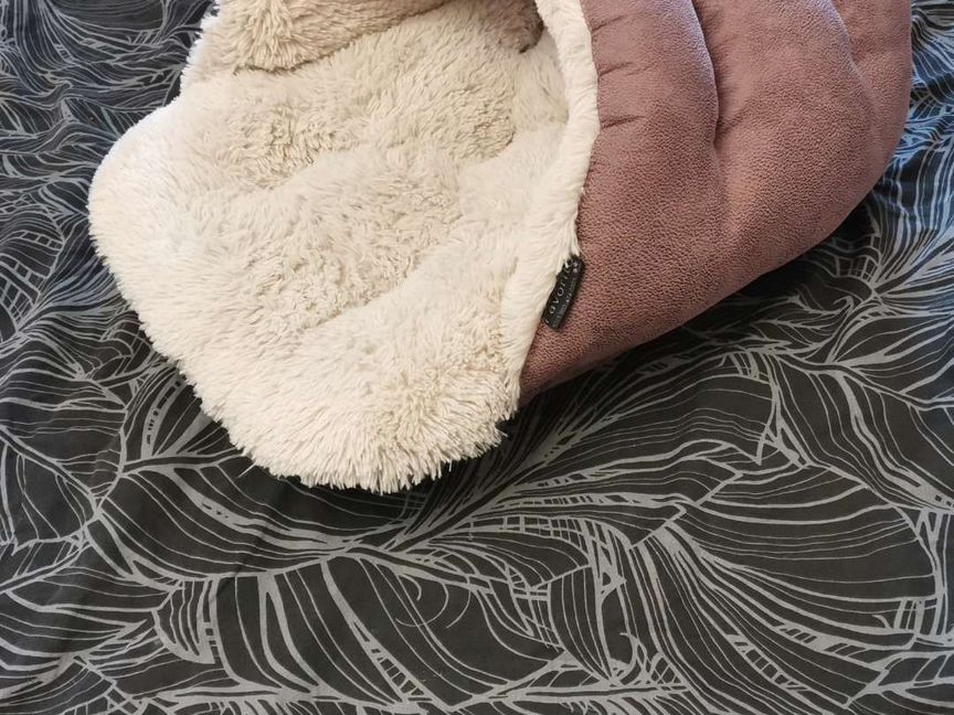 Лежанка тапок