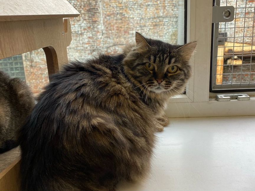 Никто не замечает