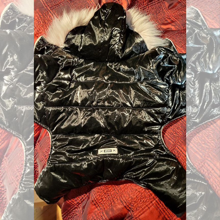 Одежда для маленьких собак зимняя