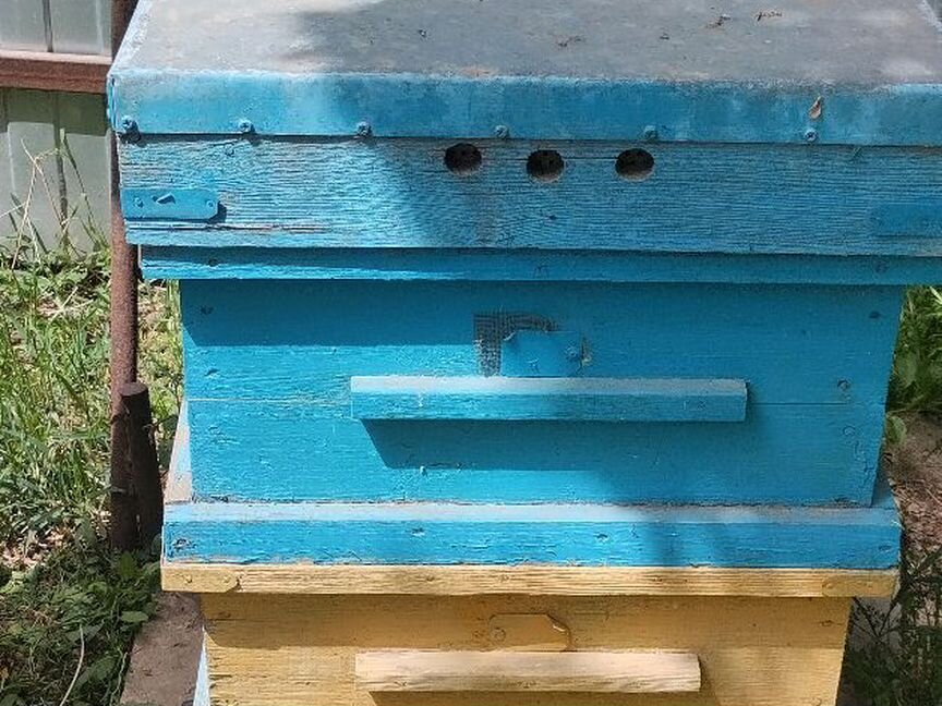 Улики для пчел и суш рутовская