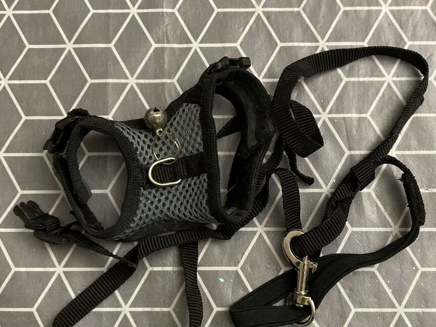 Шлейка для крысы