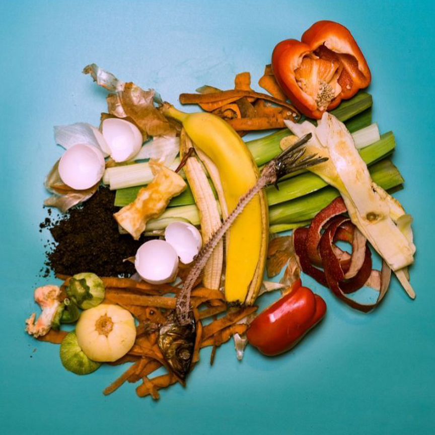 Пищевые отходы на корм скоту