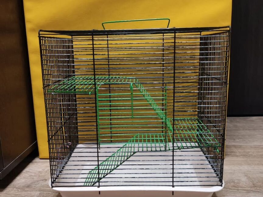 Вещи для хомяков