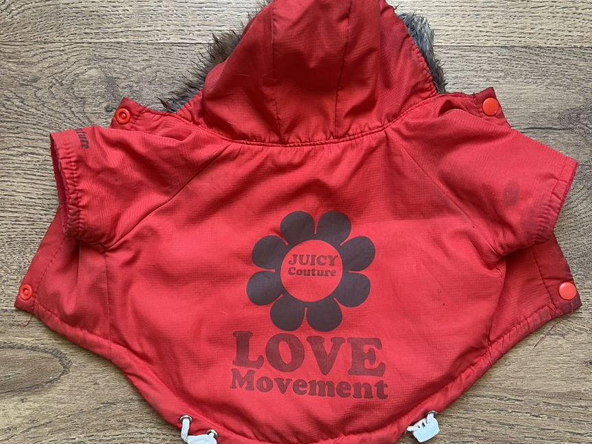 Комбенизон для собак/кошек