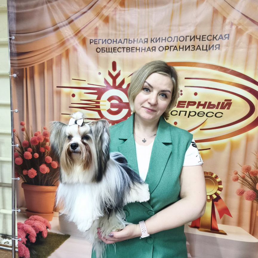 Кобель для вязки