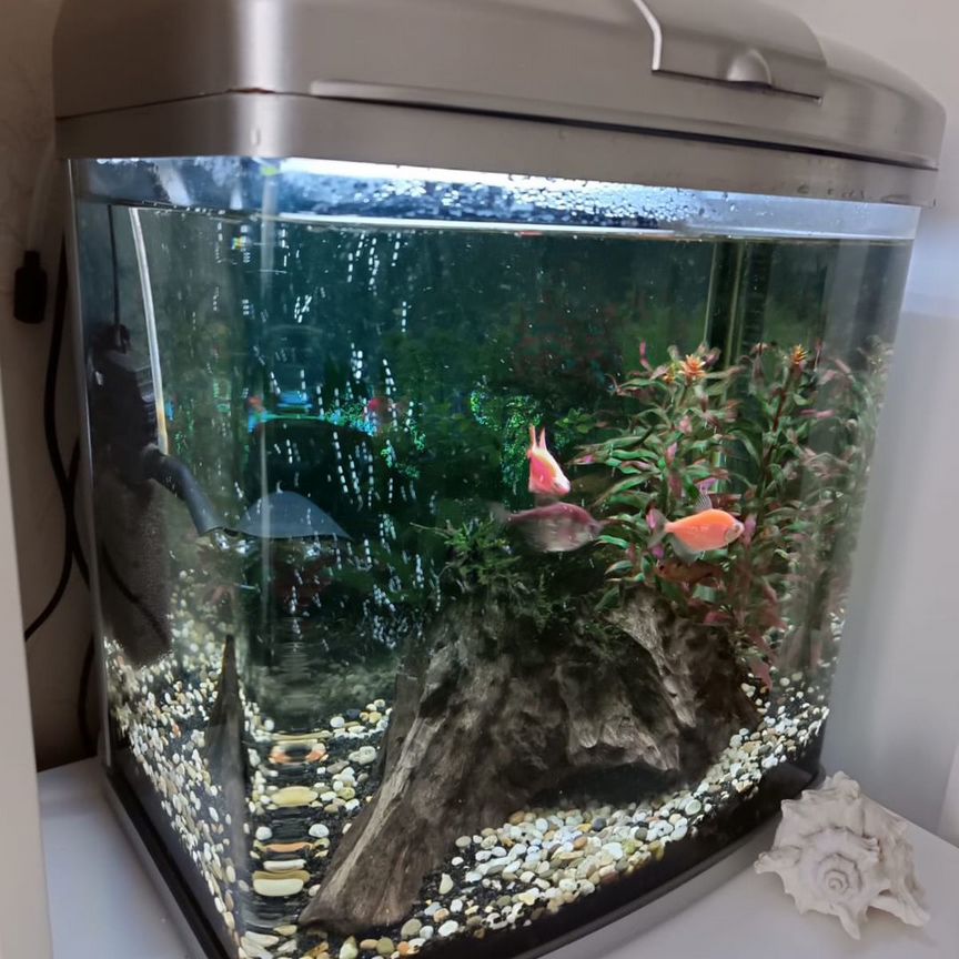 Аквариум акваэль 20 литров с фильтром