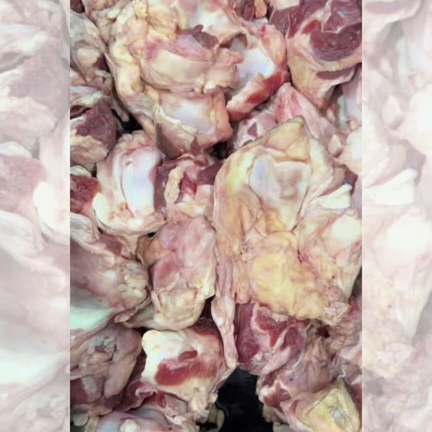 Коленная чашечка говяжья (колено)