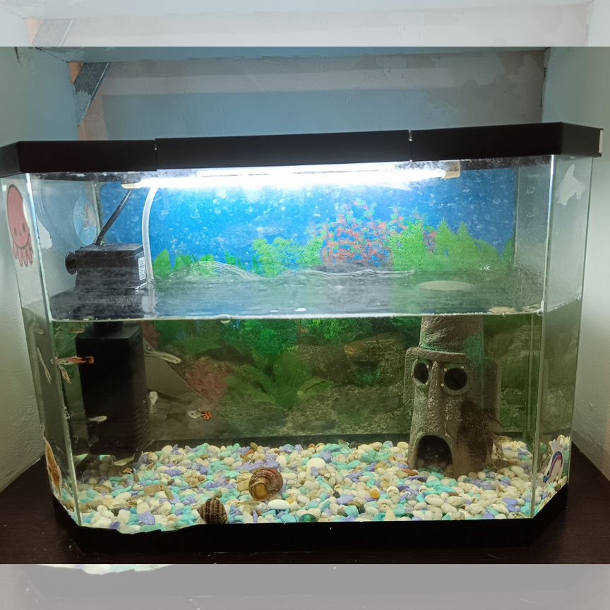 Аквариум с рыбками