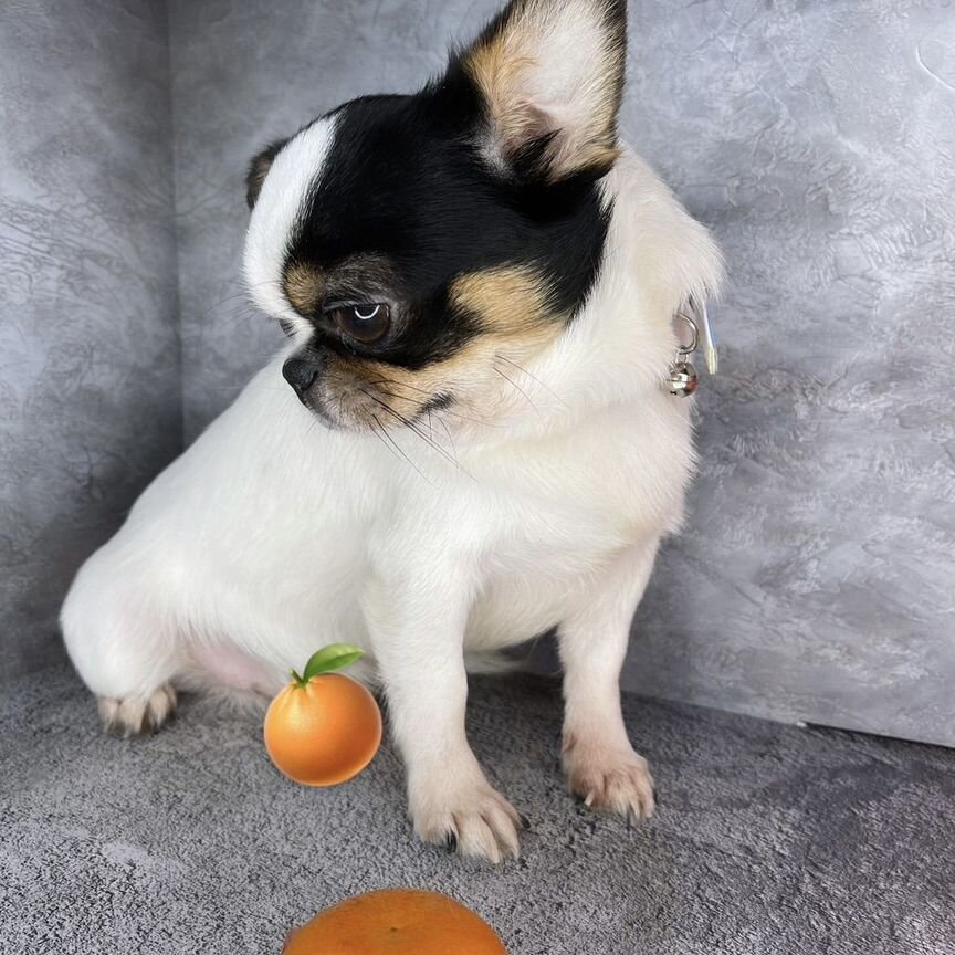 Мальчик в Экстремальном типе