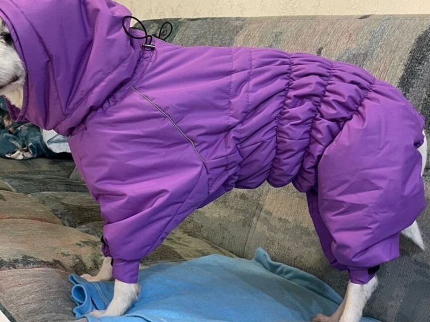 Комбинезон для средней собаки