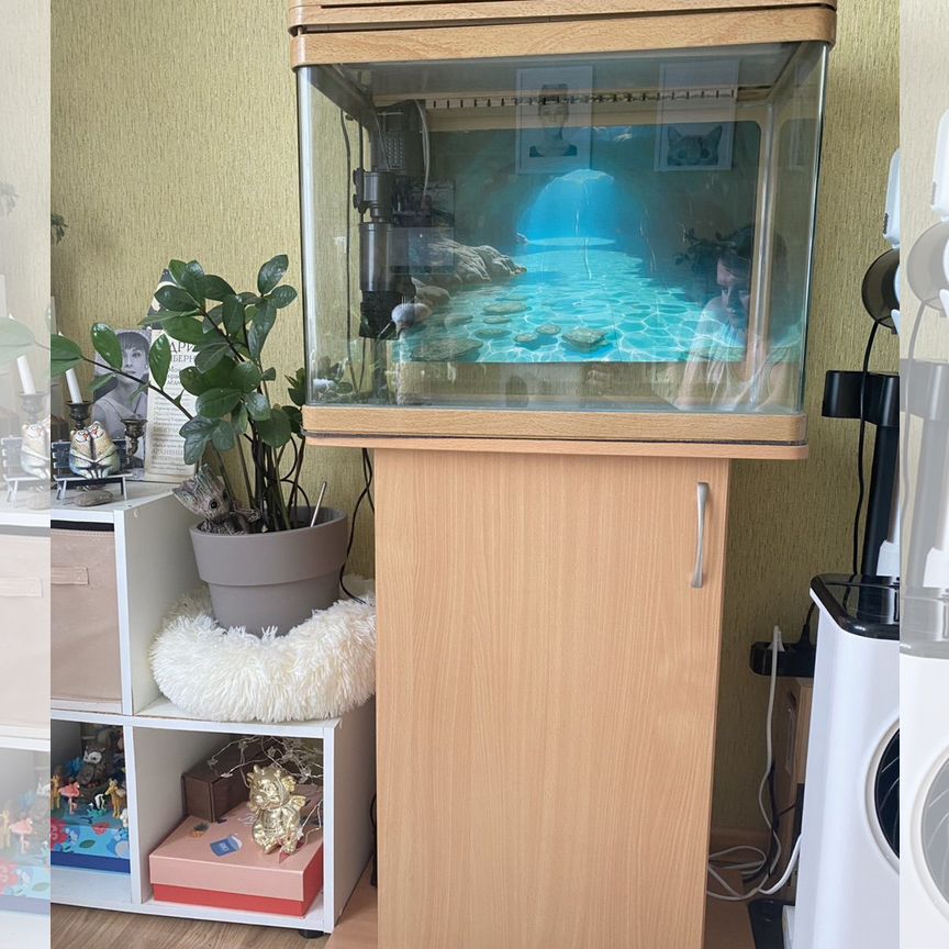 Аквариум с тумбой 100л Laguna