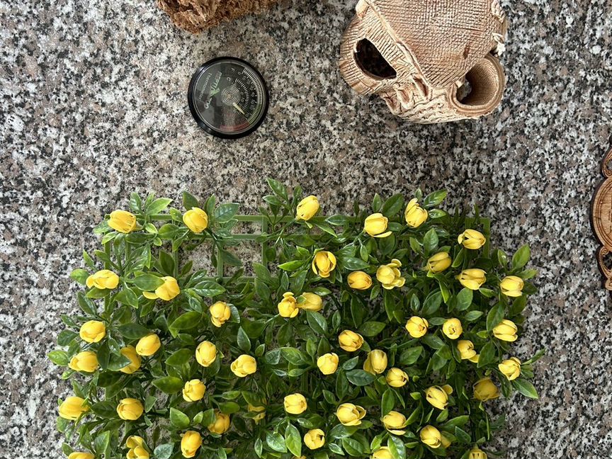 Аксессуары для террариума