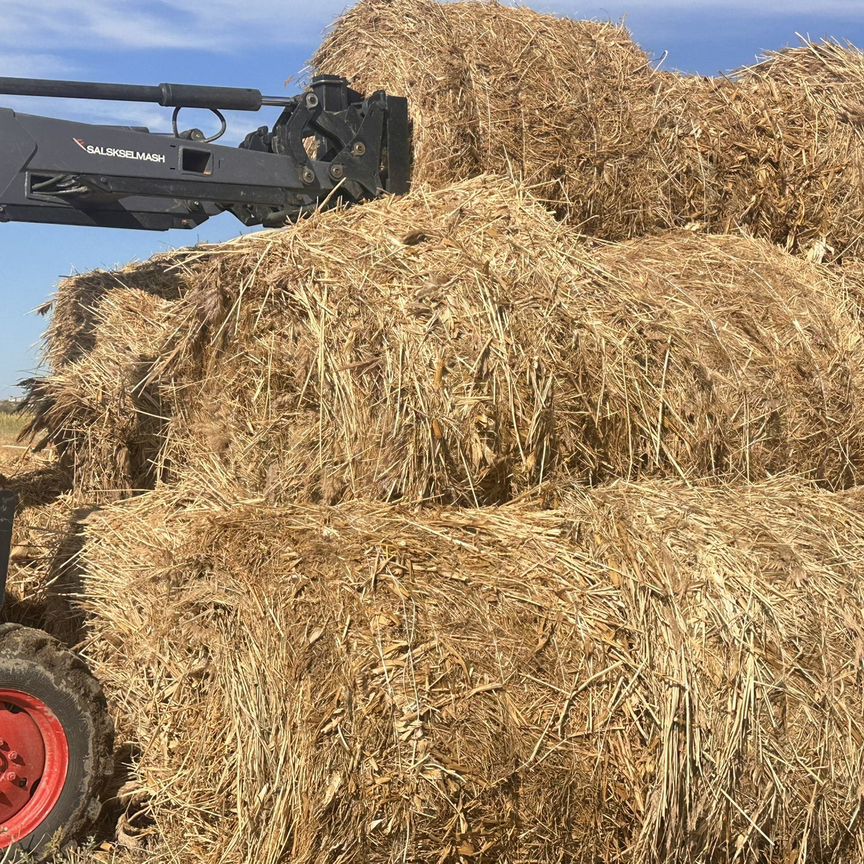 Сено в рулонах