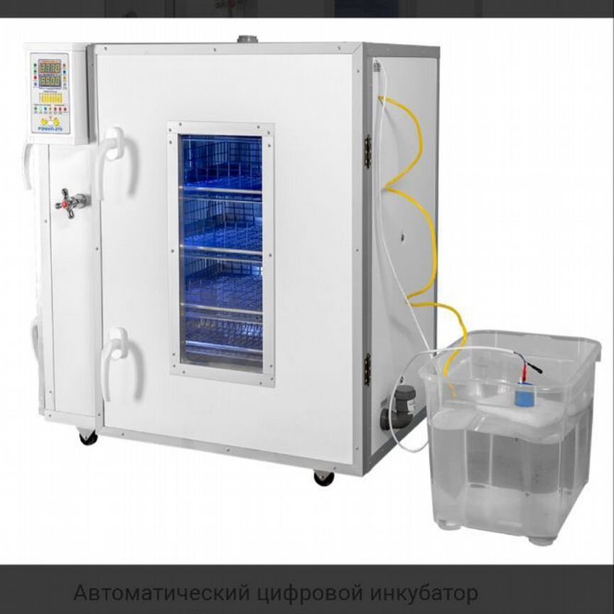 Инкубатор