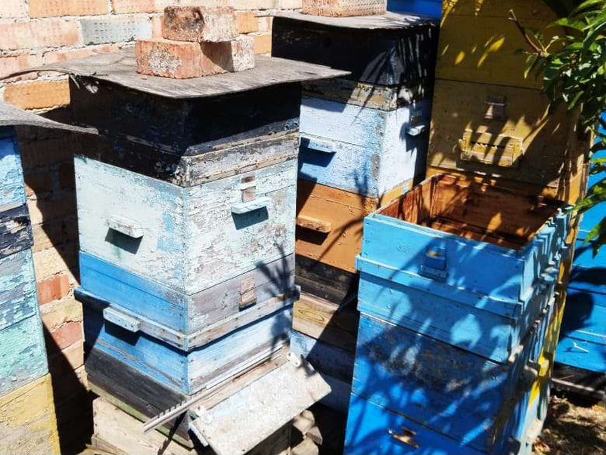 Альпийские улья для пчел бу