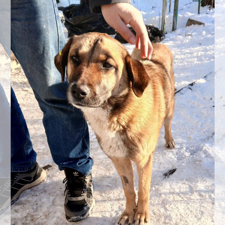 Стерильная девочка сторож ищет работу