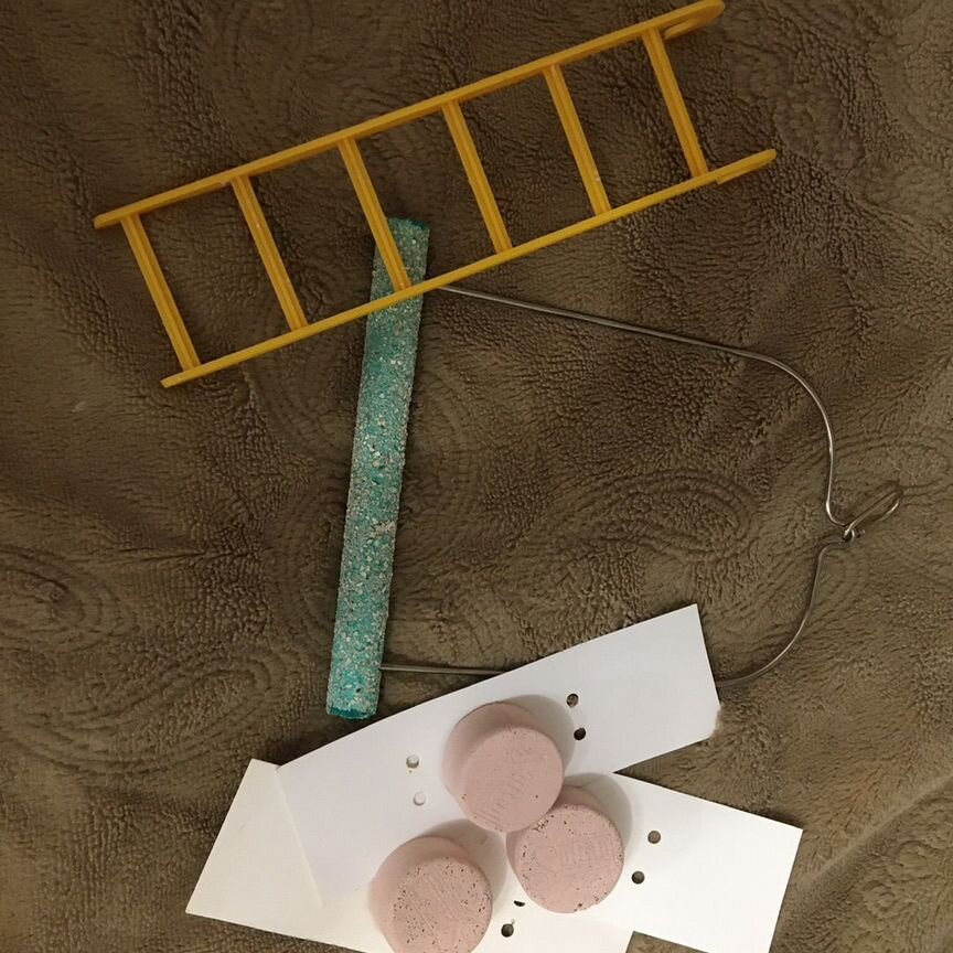 Качеля для птиц