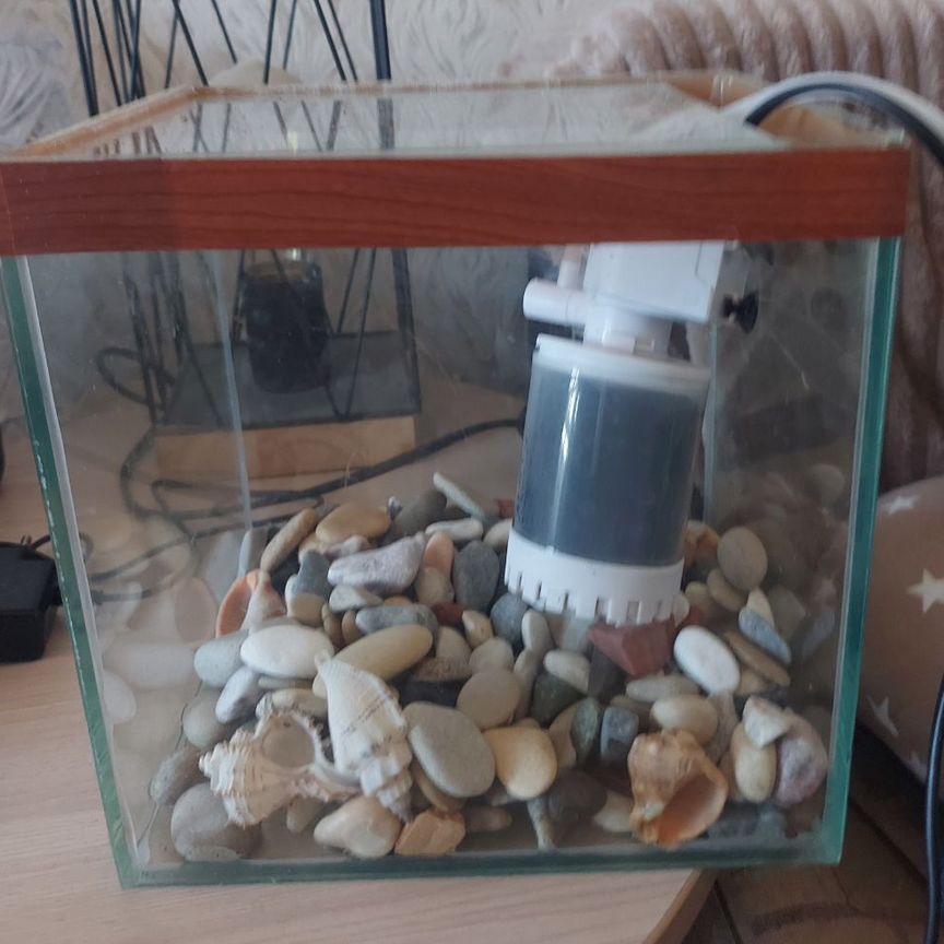 Аквариум   фильтр для аквариума