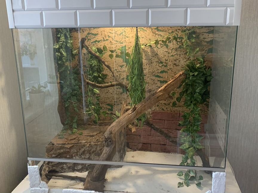Террариум б\у для рептилий
