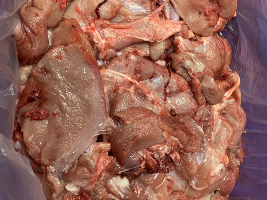 Мякоть телят для собак