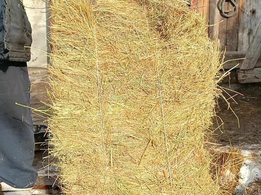 Сено в кипах