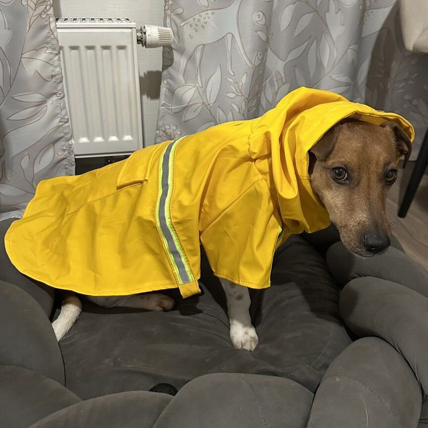 Дождевик для Собаки 45 см