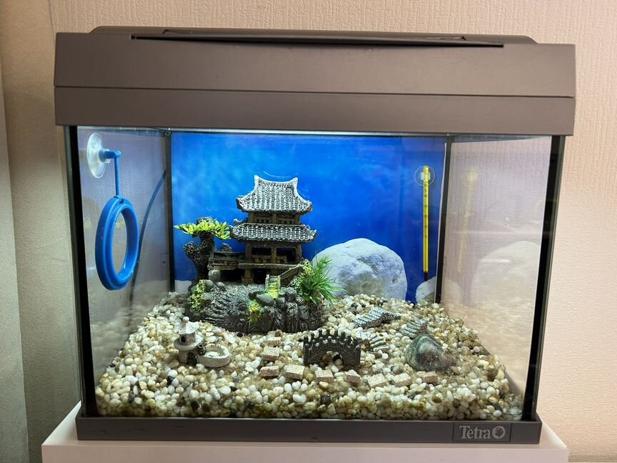 Аквариум 30 литров