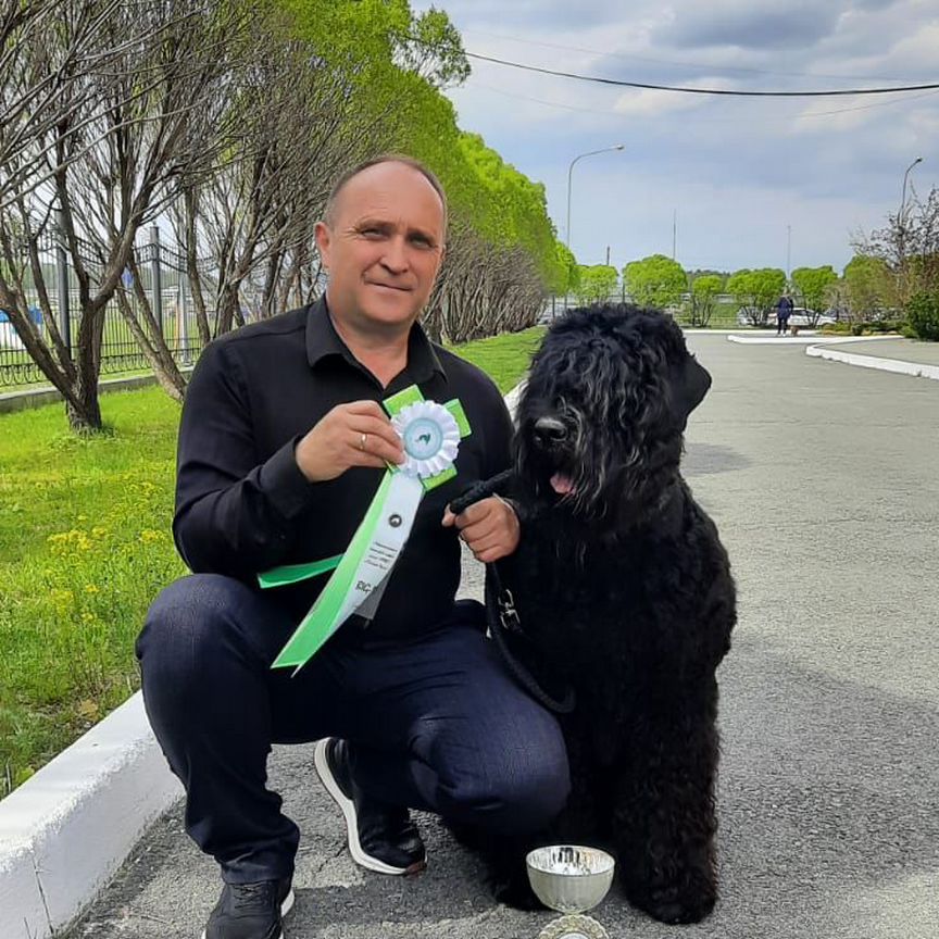 Продажа щенков