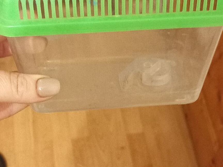 Переносной аквариум для черепахи