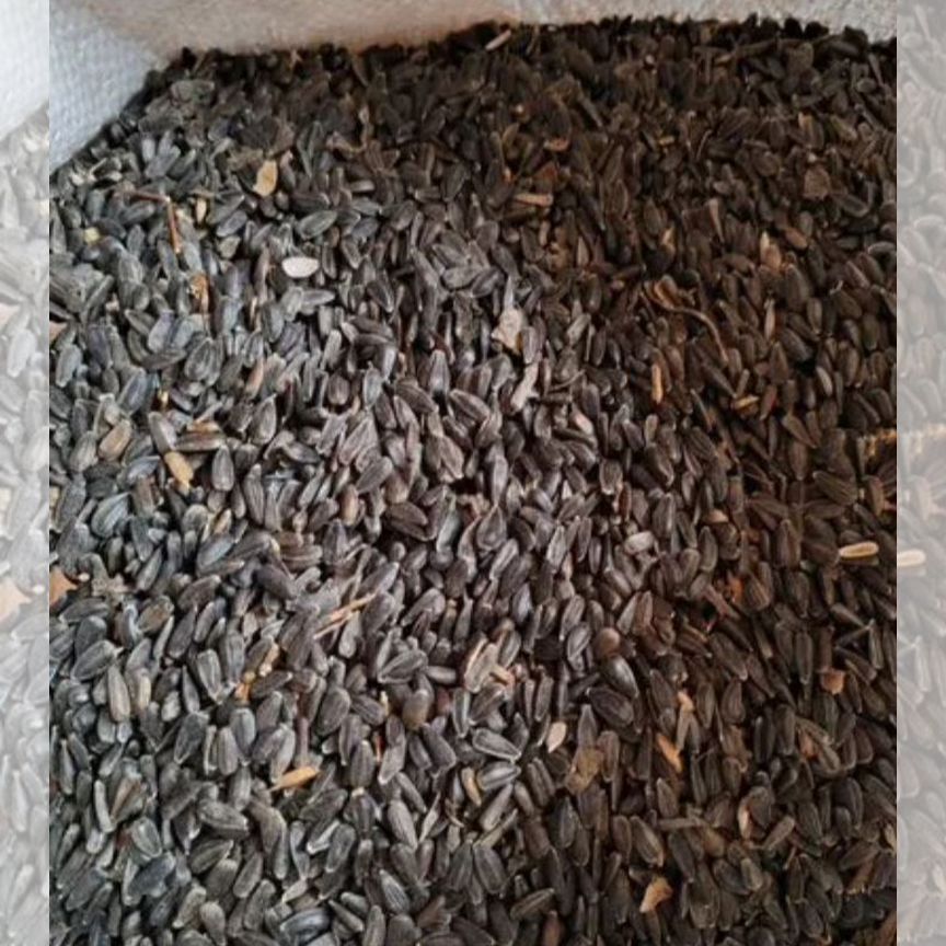 Семечки для птиц