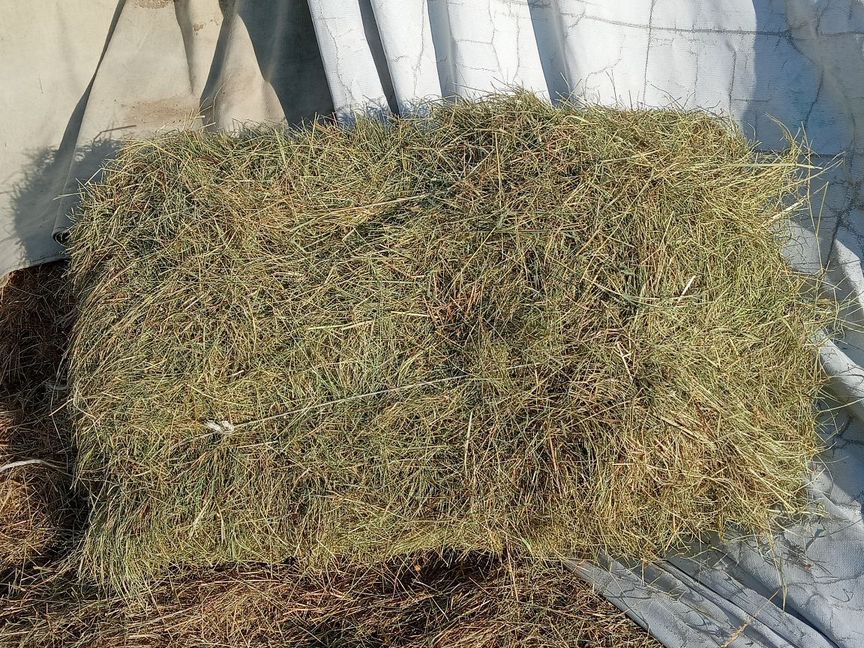 Сено в кипах