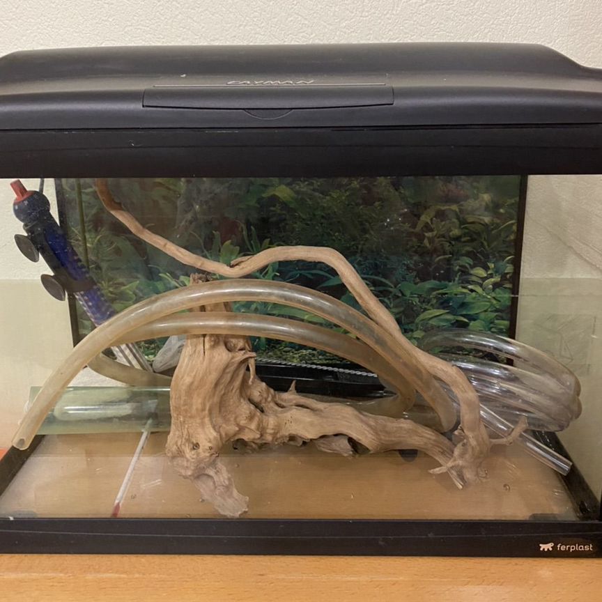 Аквариум с фильтром и подсветкой
