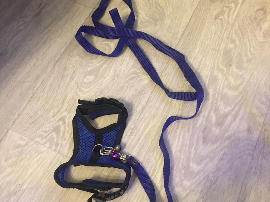 Шлейка для хорька с колокольчиком