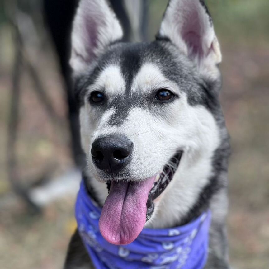 Джина хочет домой