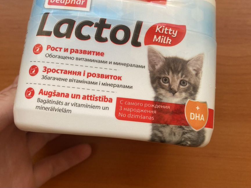 Молочная смесь для котят