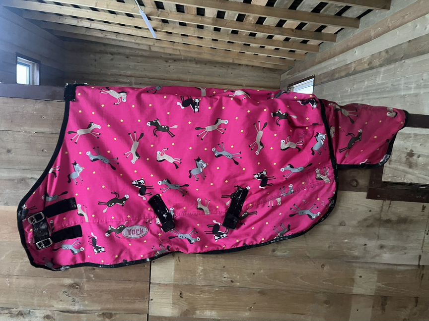 Попона на жеребенка или пони