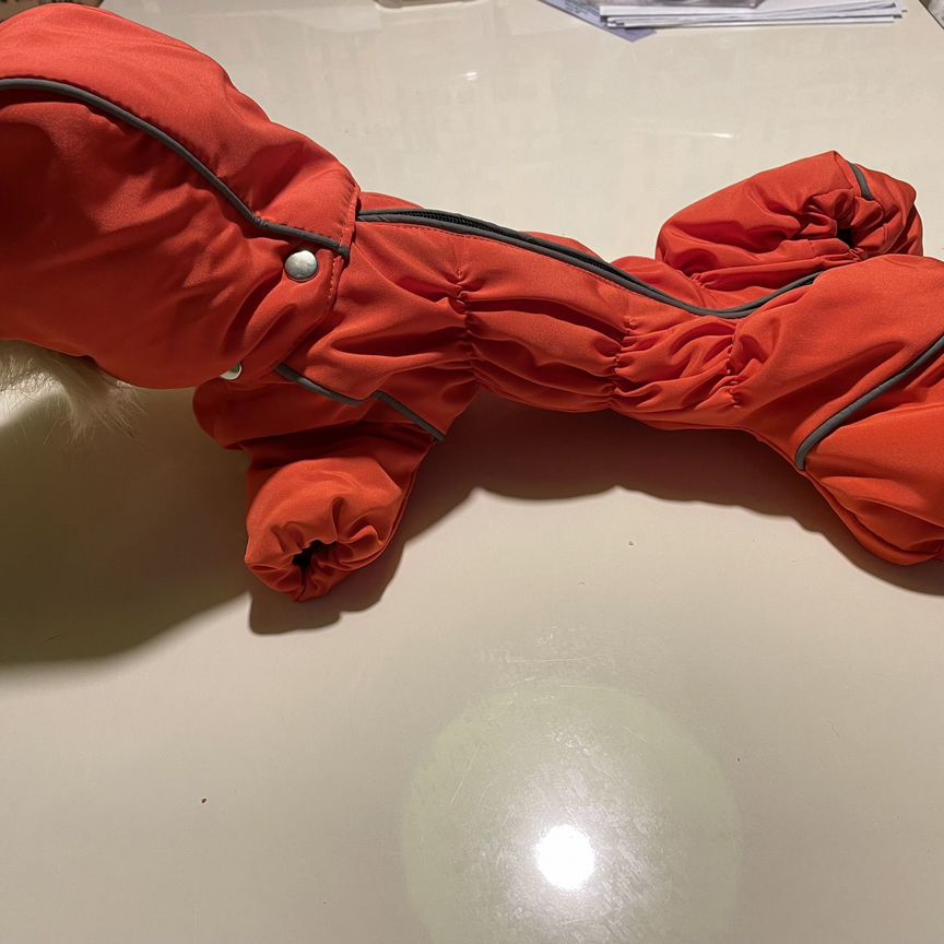 Одежда для маленьких собак xs