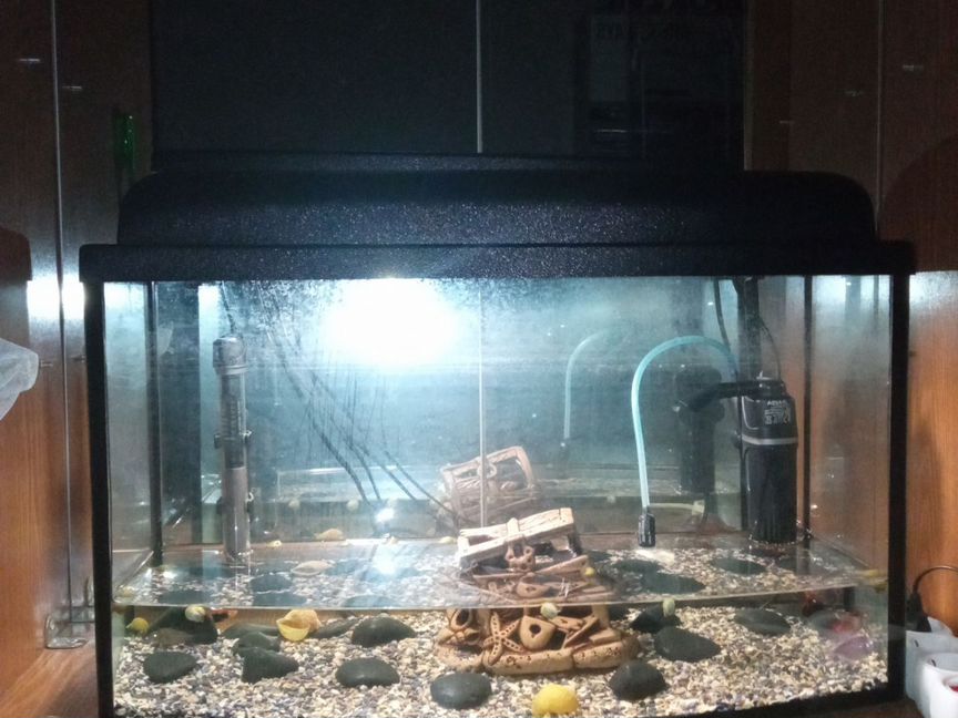 Аквариум с рыбками