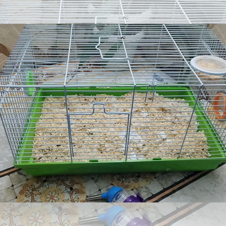 Клетка для грызунов большая