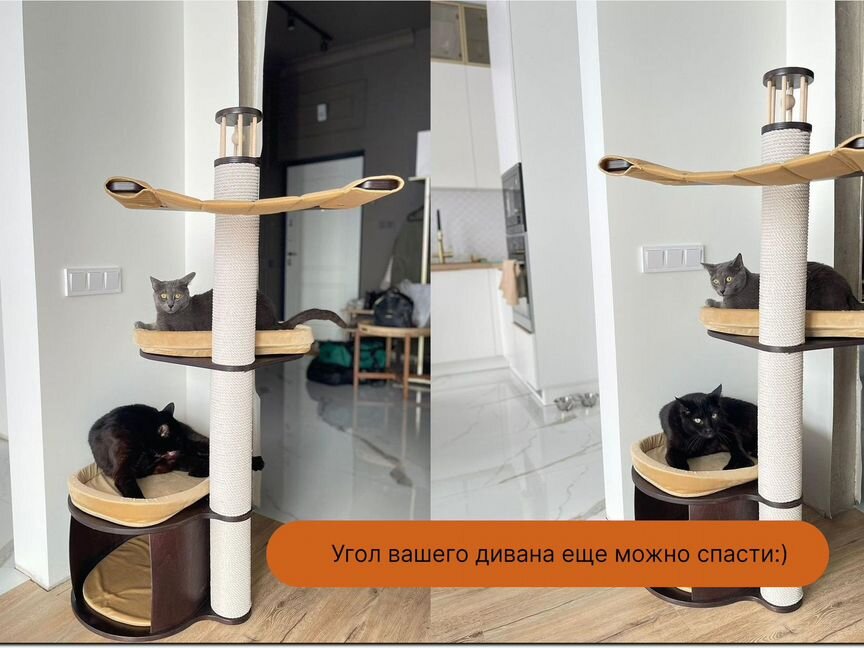 Когтеточка для кошек и котят
