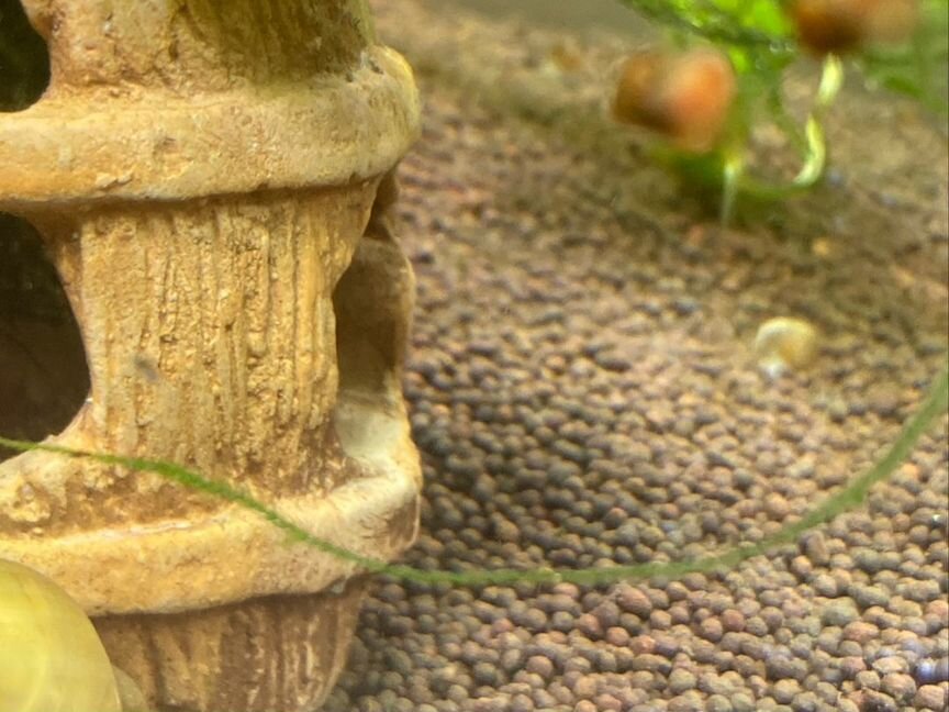 Улитки катушки, физы бесплатно