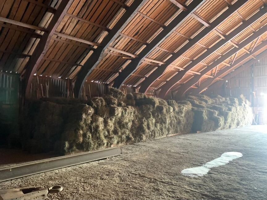 Продам сено в тюках