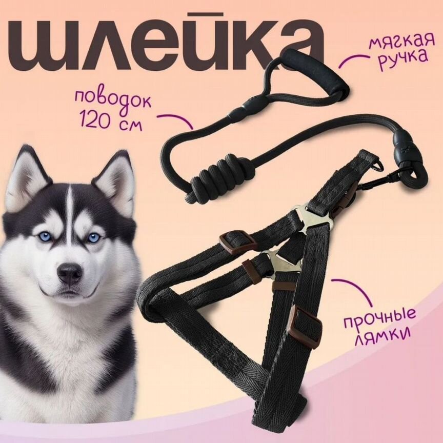 Шлейка и ошеники для собак