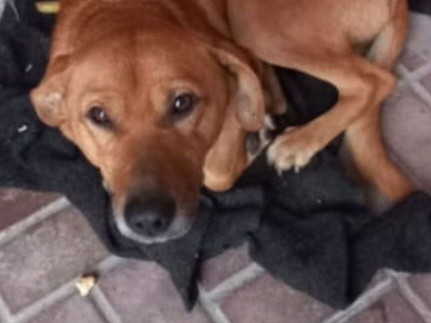 Трясется от холода не пускают в подьезд