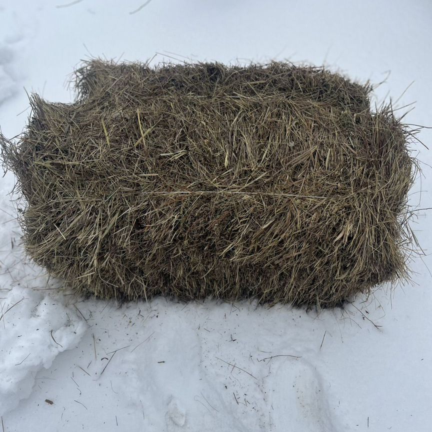 Сено в тюках